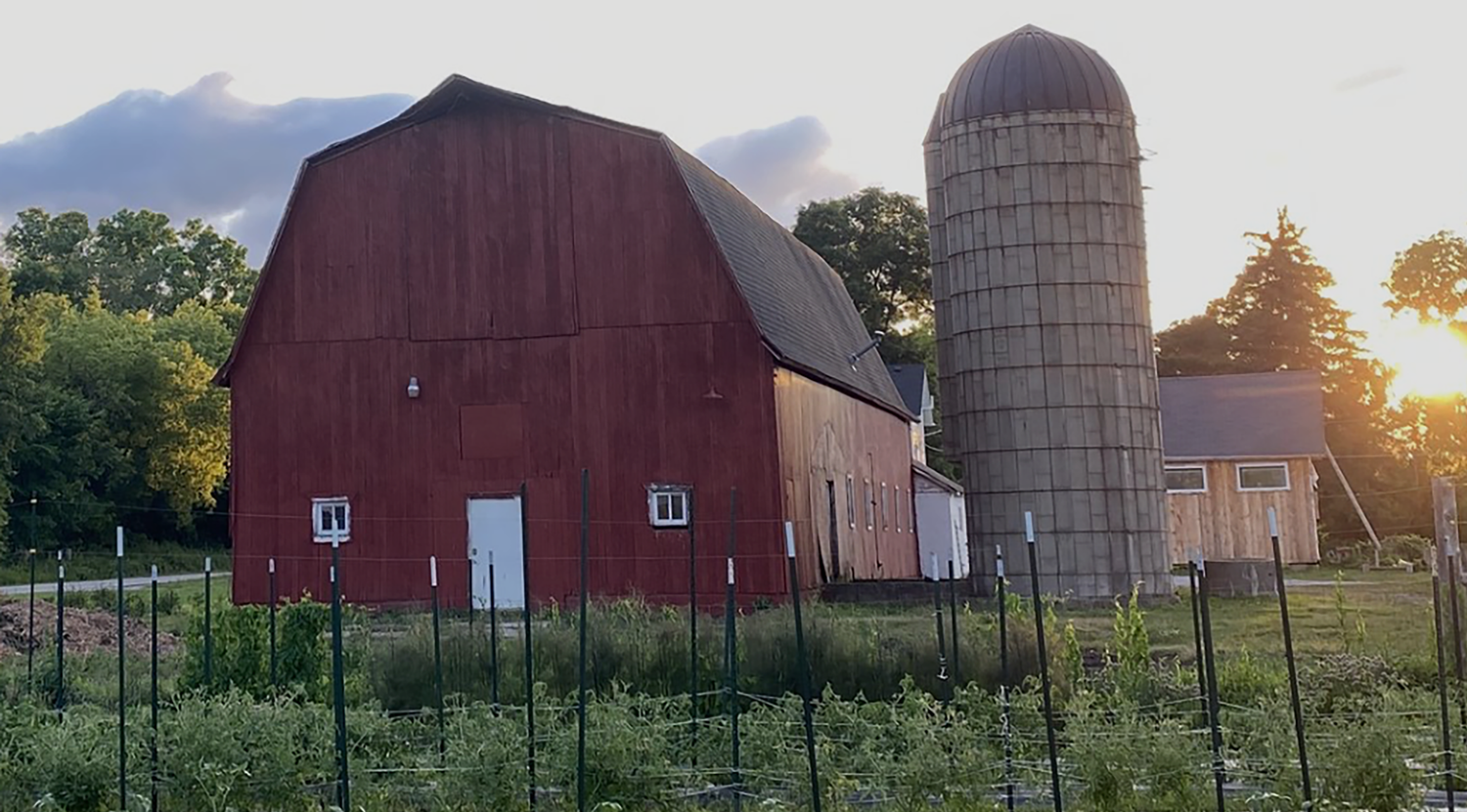 Farmington Farmers Market