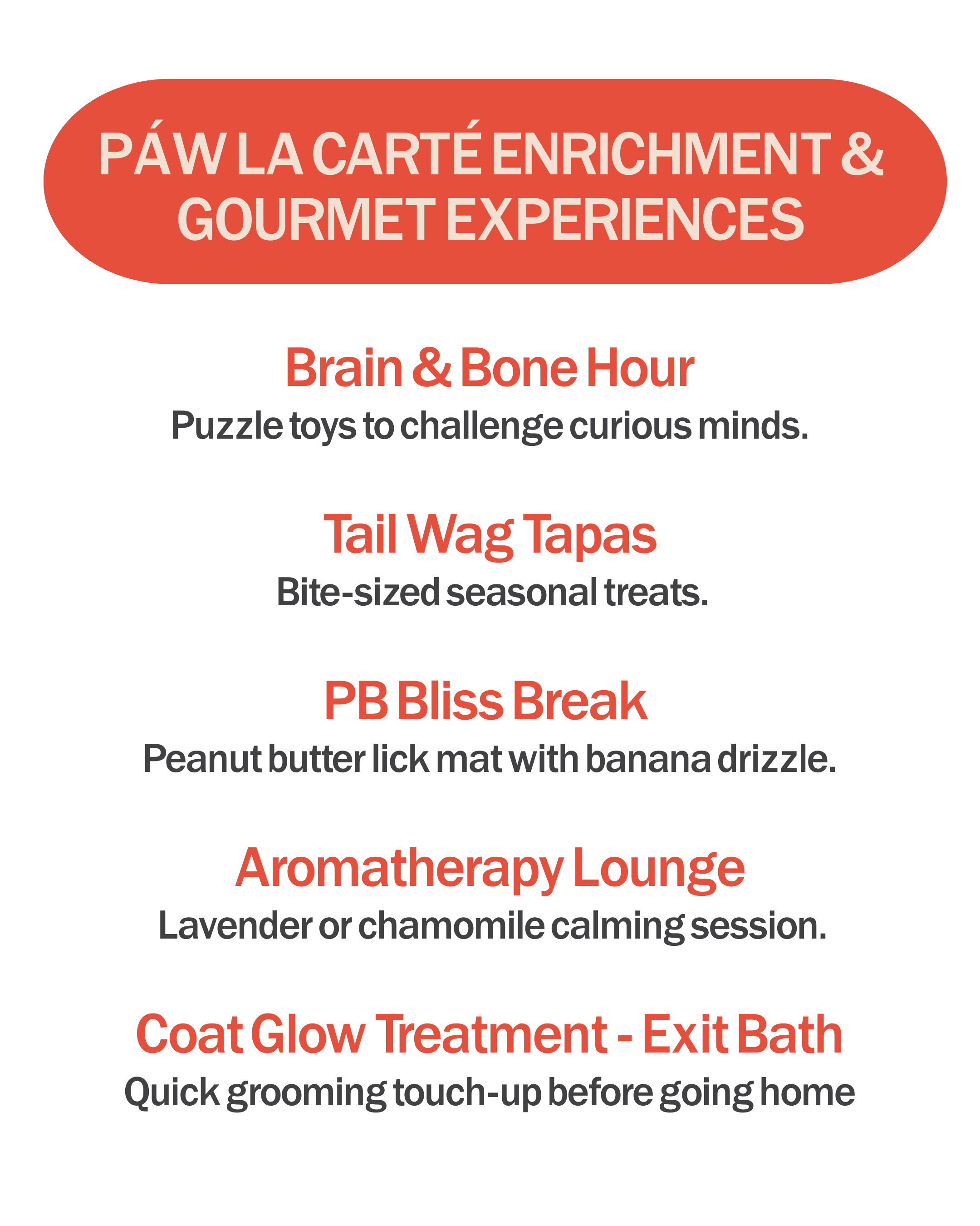 PUP SCHOOL - DOGGY DAYCARE — PUP SOCIAL