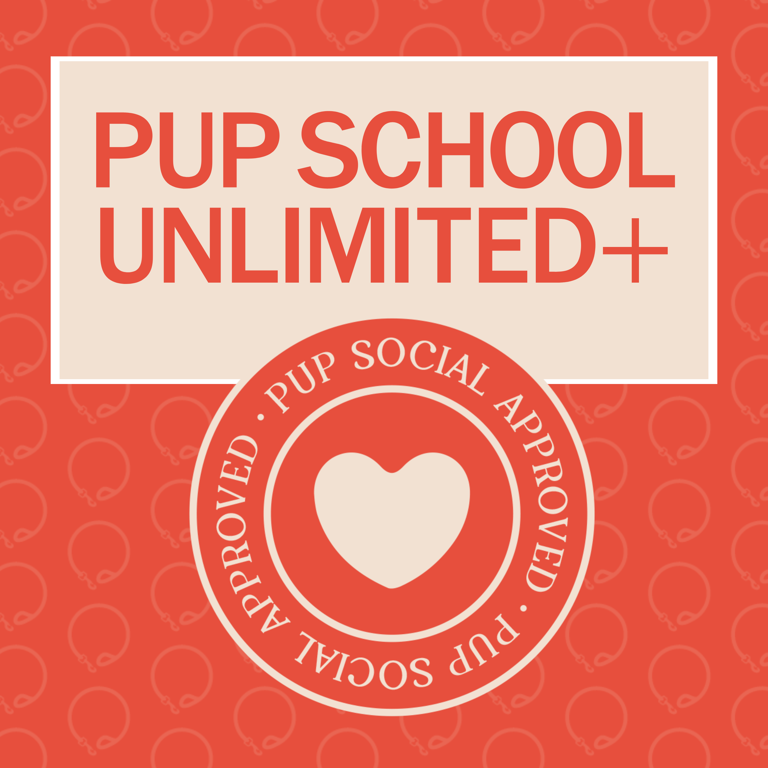 Pup School Flexible Doggy Daycare Options — PUP SOCIAL