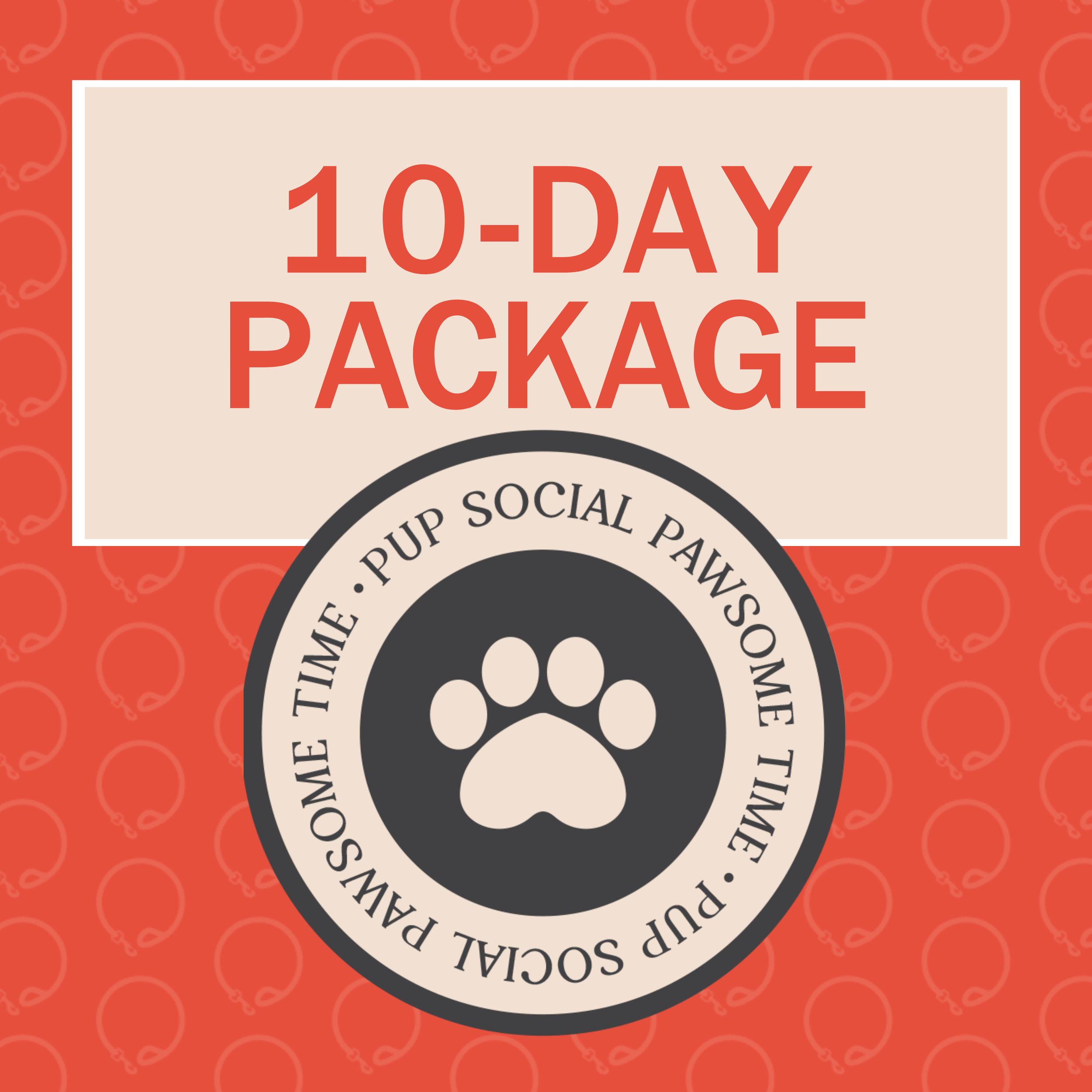 Pup School Flexible Doggy Daycare Options — PUP SOCIAL