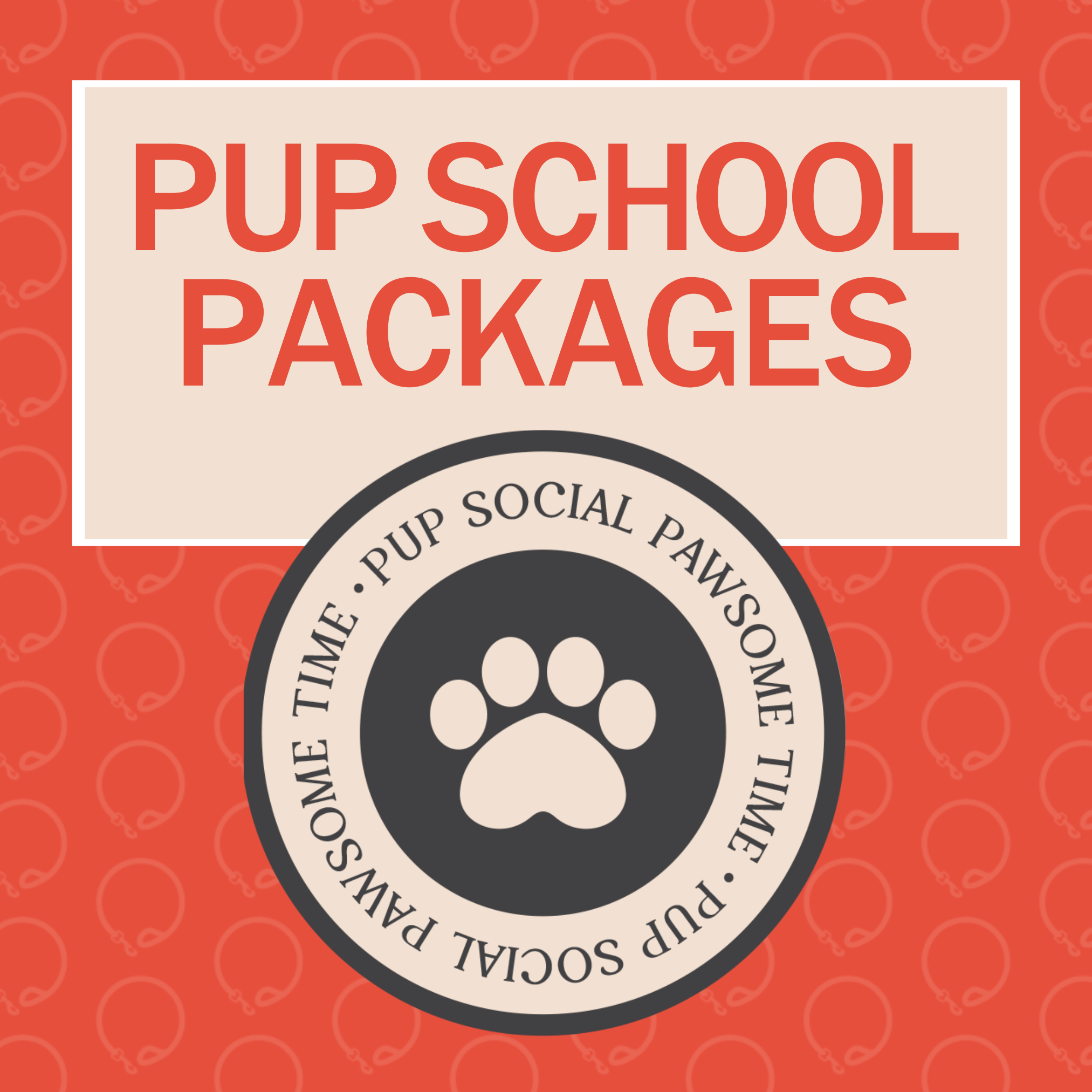 Pup School Flexible Doggy Daycare Options — PUP SOCIAL