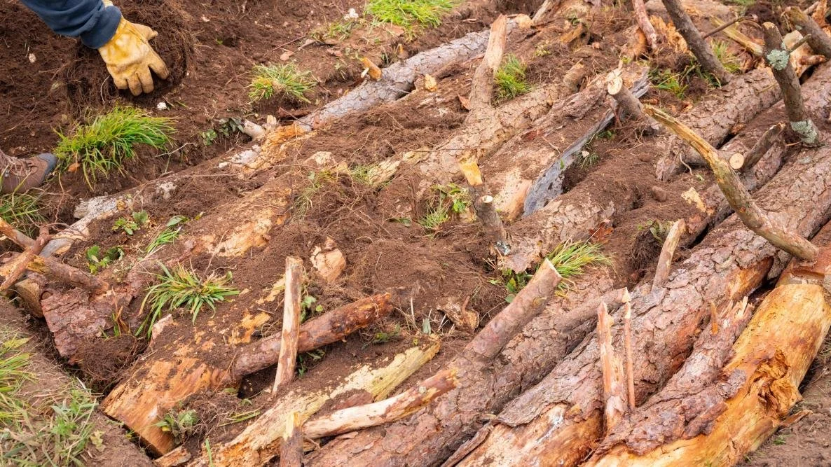 Conquering the Drought Useful Water Saving Strategies — Learn Practical ...