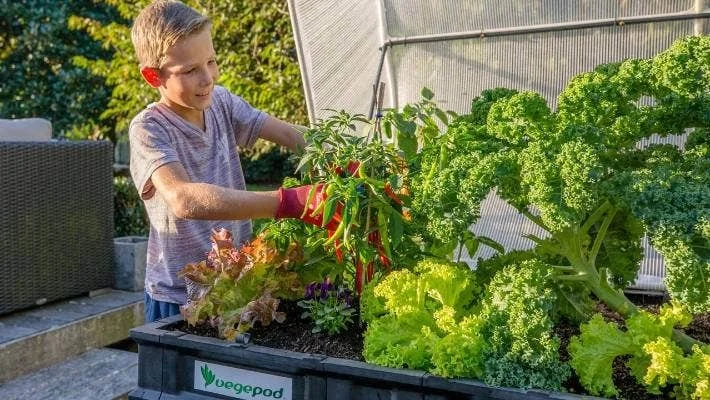 Learn Sustainable Living & Self-Sufficiency Skills in Australia