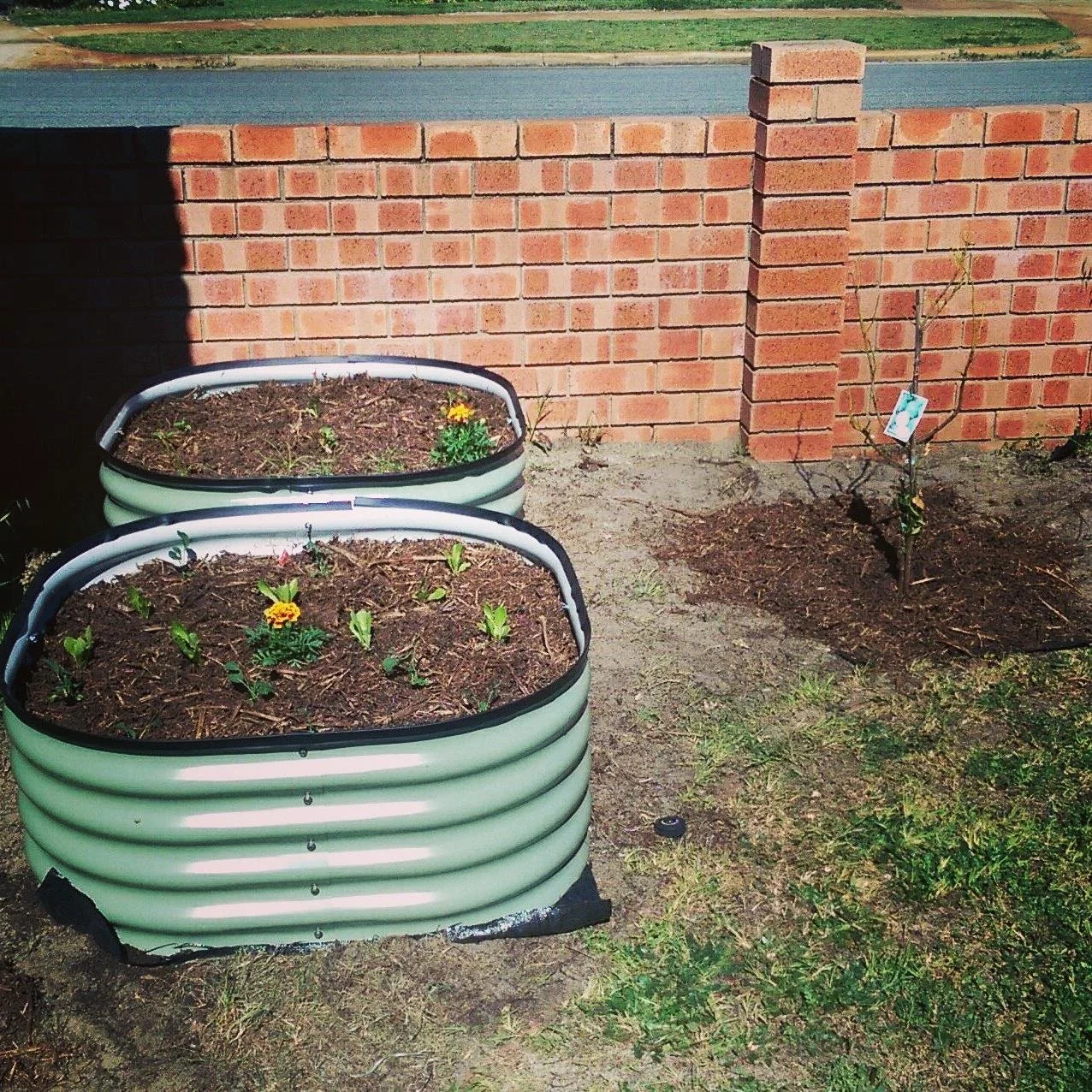 Grow Food In Any Sized Space: Save Money and Improve Your Health Learn ...