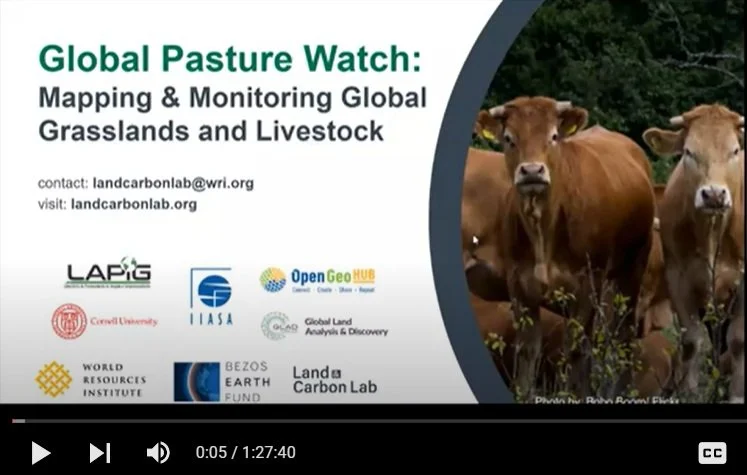 Expert Insights and Analyses | Land & Carbon Lab