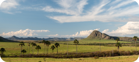 From the Frontier of Data to the Frontlines of Land Use | Land & Carbon Lab