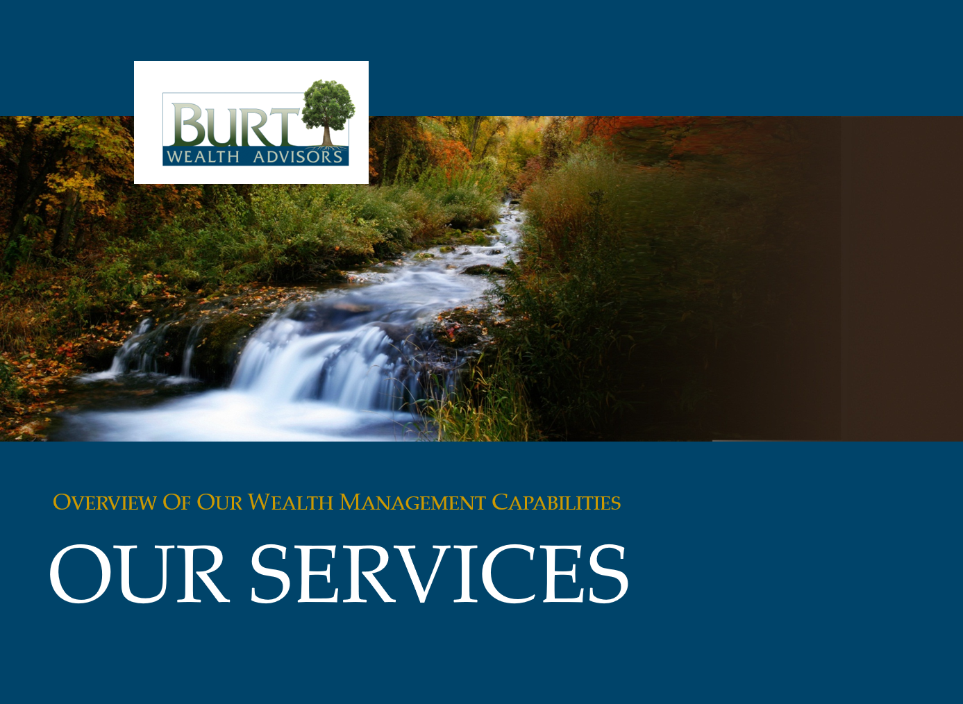 Burt Wealth Advisors