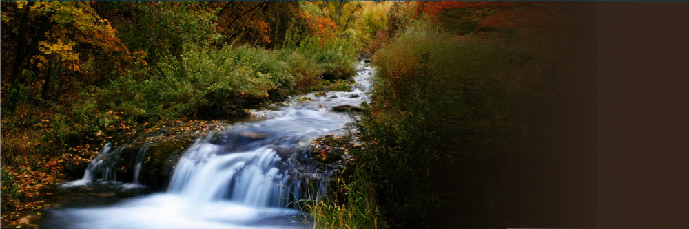 ABOUT — Burt Wealth Advisors