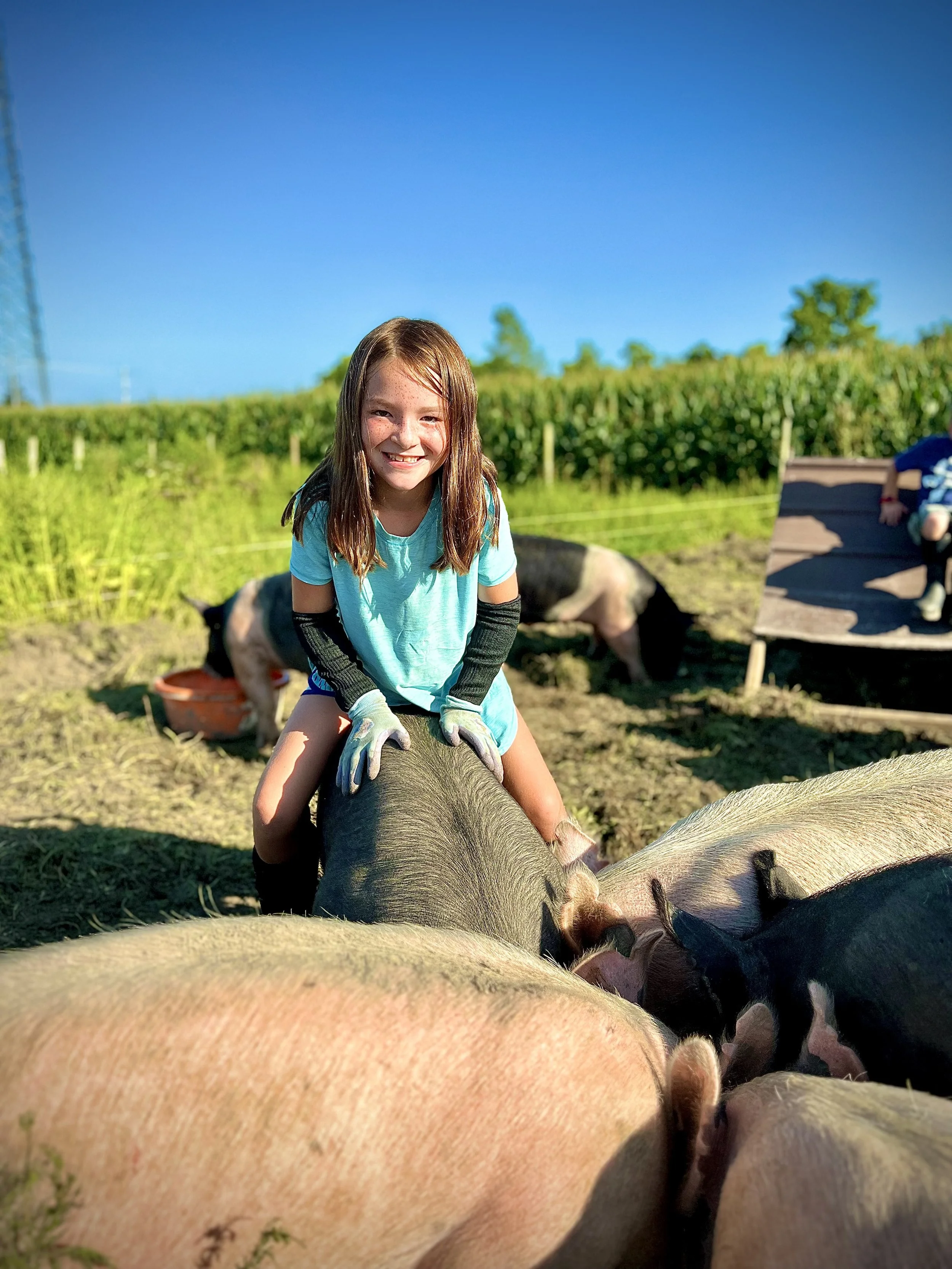 Strahl Family Farms | Pasture Raised Chicken & Pork | Grass-Fed Beef ...