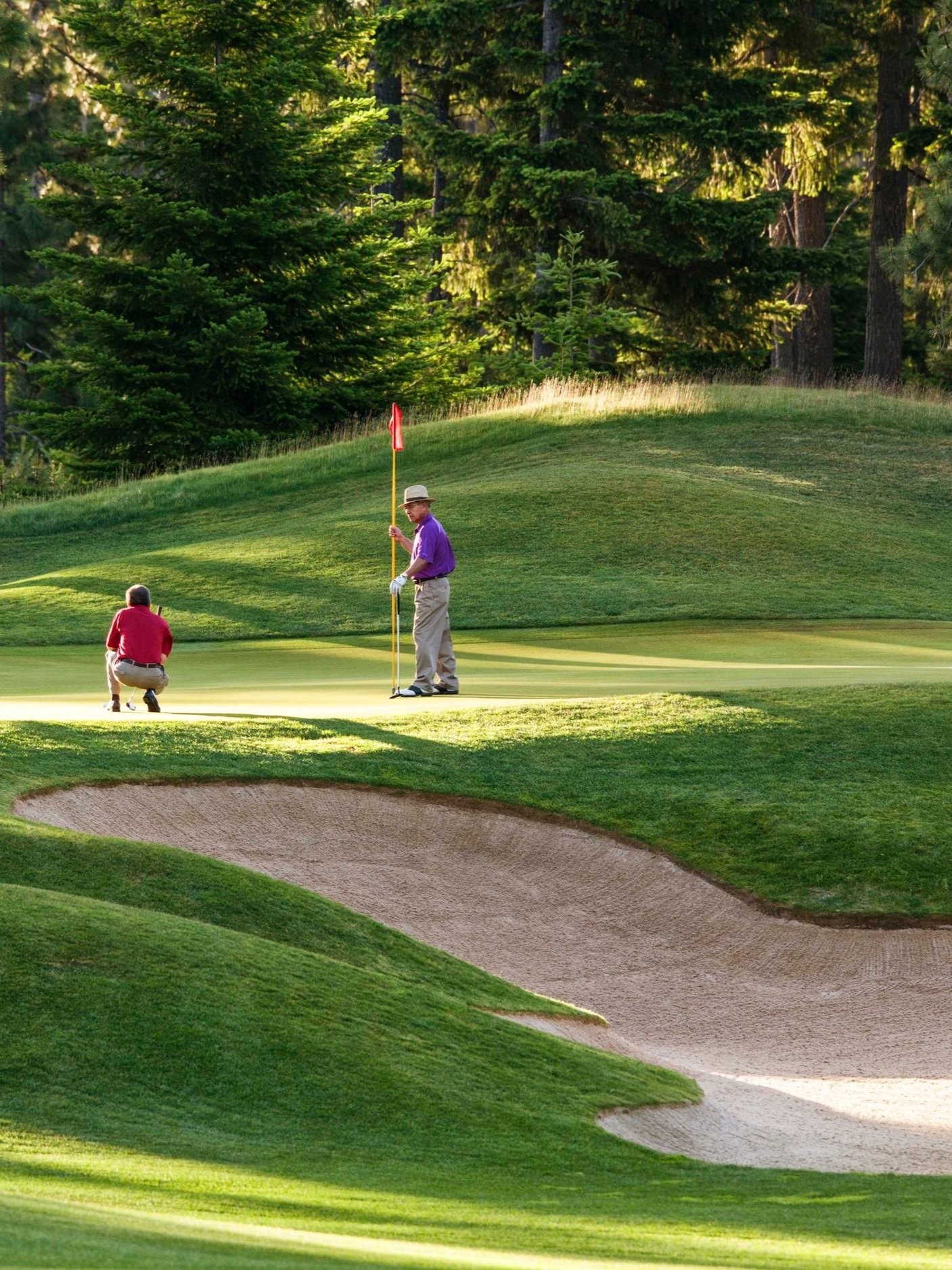 Memberships — Allandale Golf Course