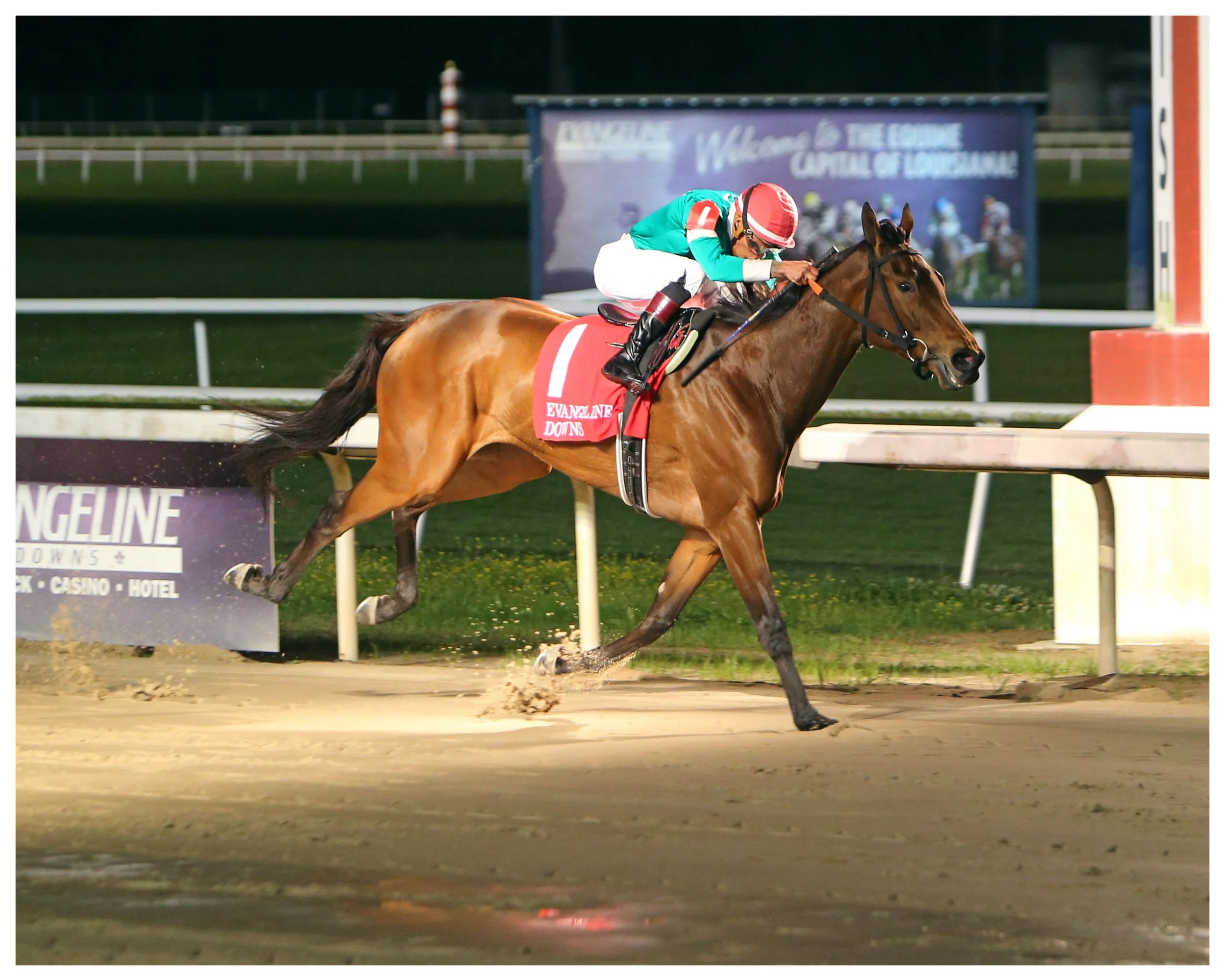 G FORCE — Louisiana Horse Magazine