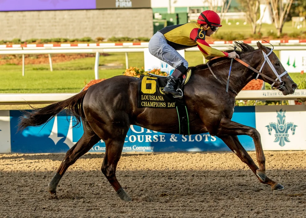 Smoken Wicked 1st Stakes Winner for Bobby's Wicked One — Louisiana ...