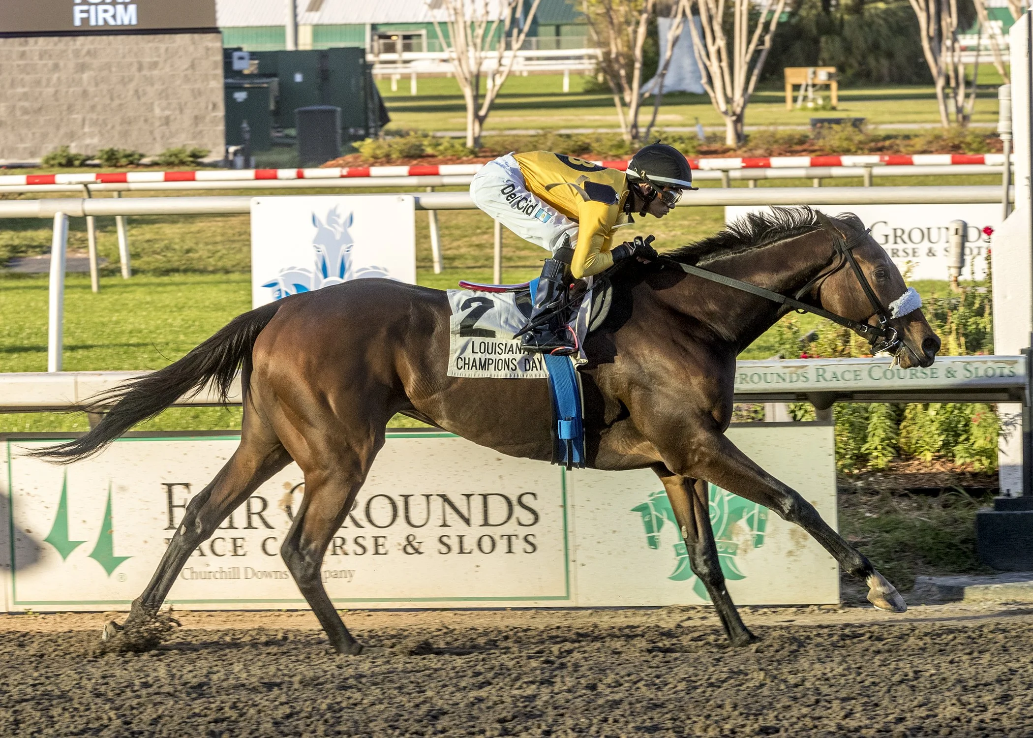 Louisiana Champions Day Nominations Set 150 000 Classic Could Pit