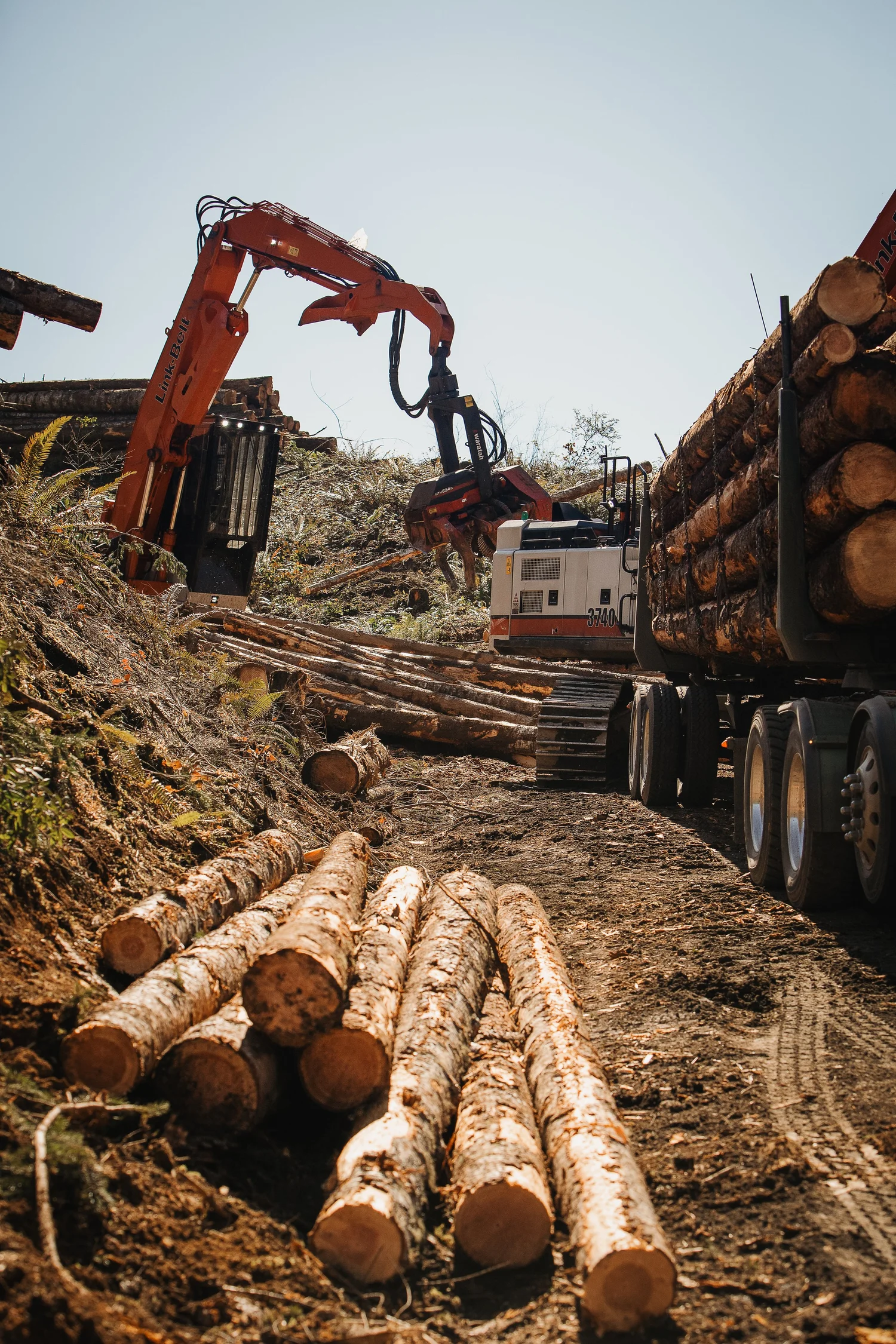 Investing — Lone Rock Resources
