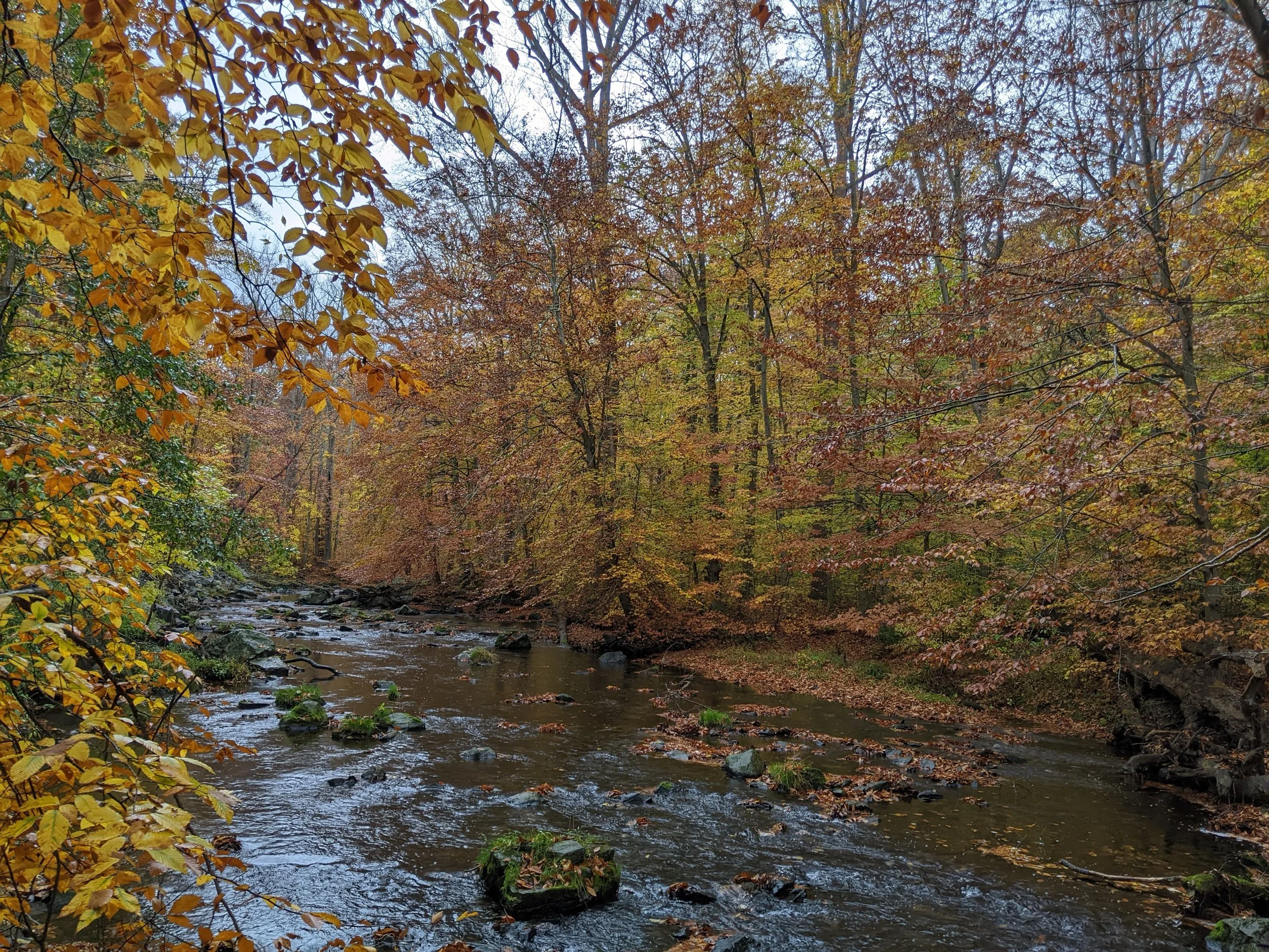 Trails & Parks — Outdoor Middletown