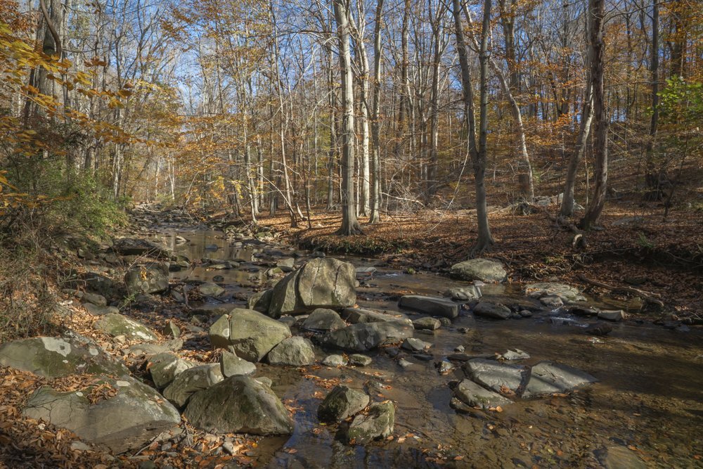 Darlington Trail — Outdoor Middletown