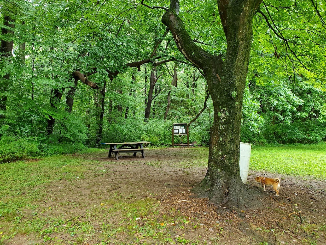 Indian Orchard Trail — Outdoor Middletown