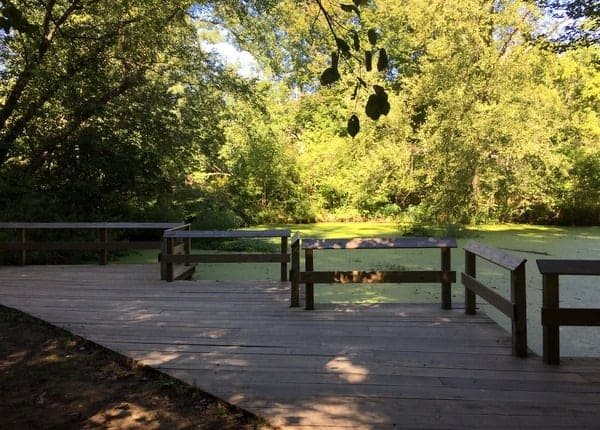 Tyler Arboretum — Outdoor Middletown