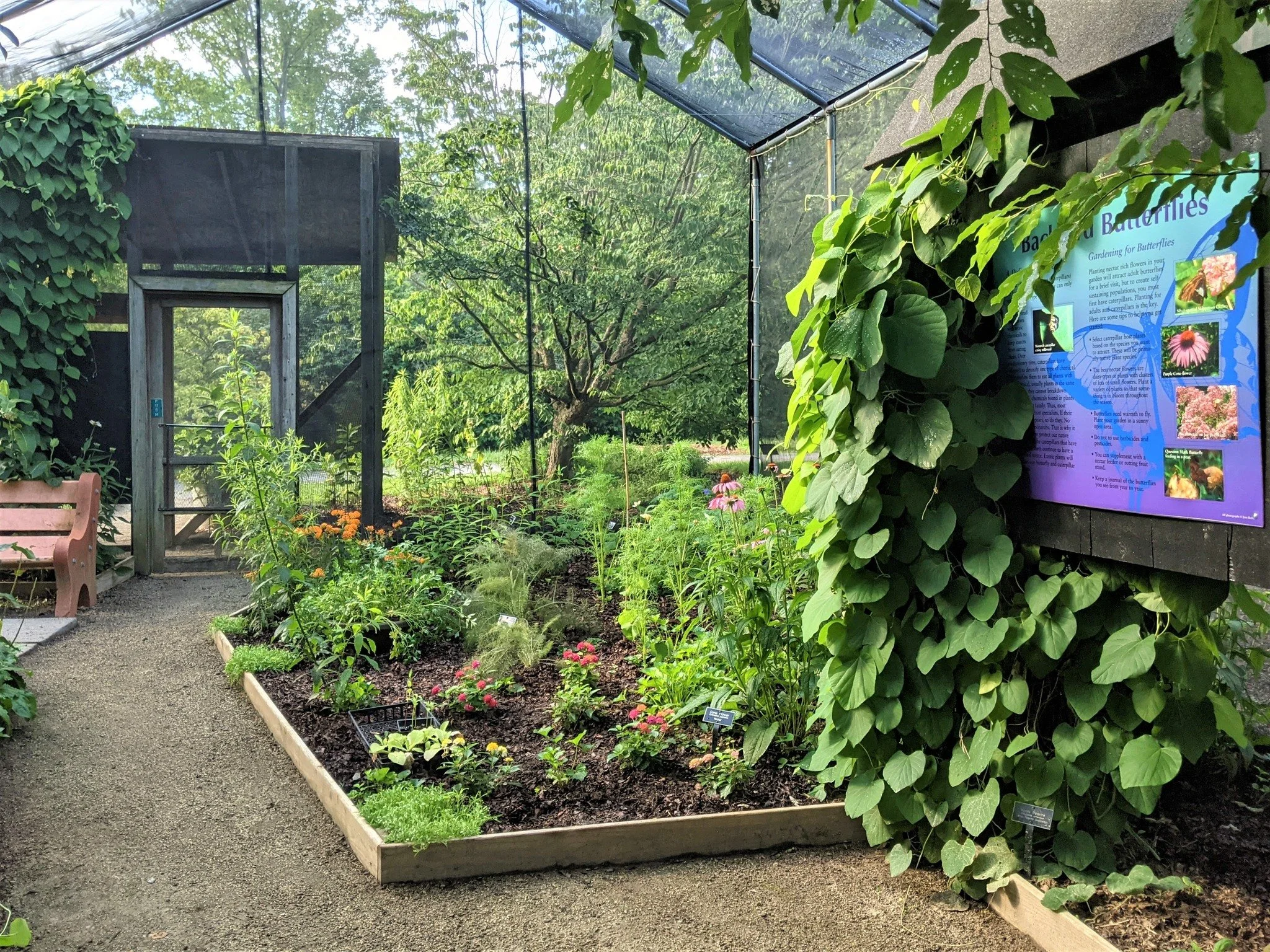 Tyler Arboretum — Outdoor Middletown