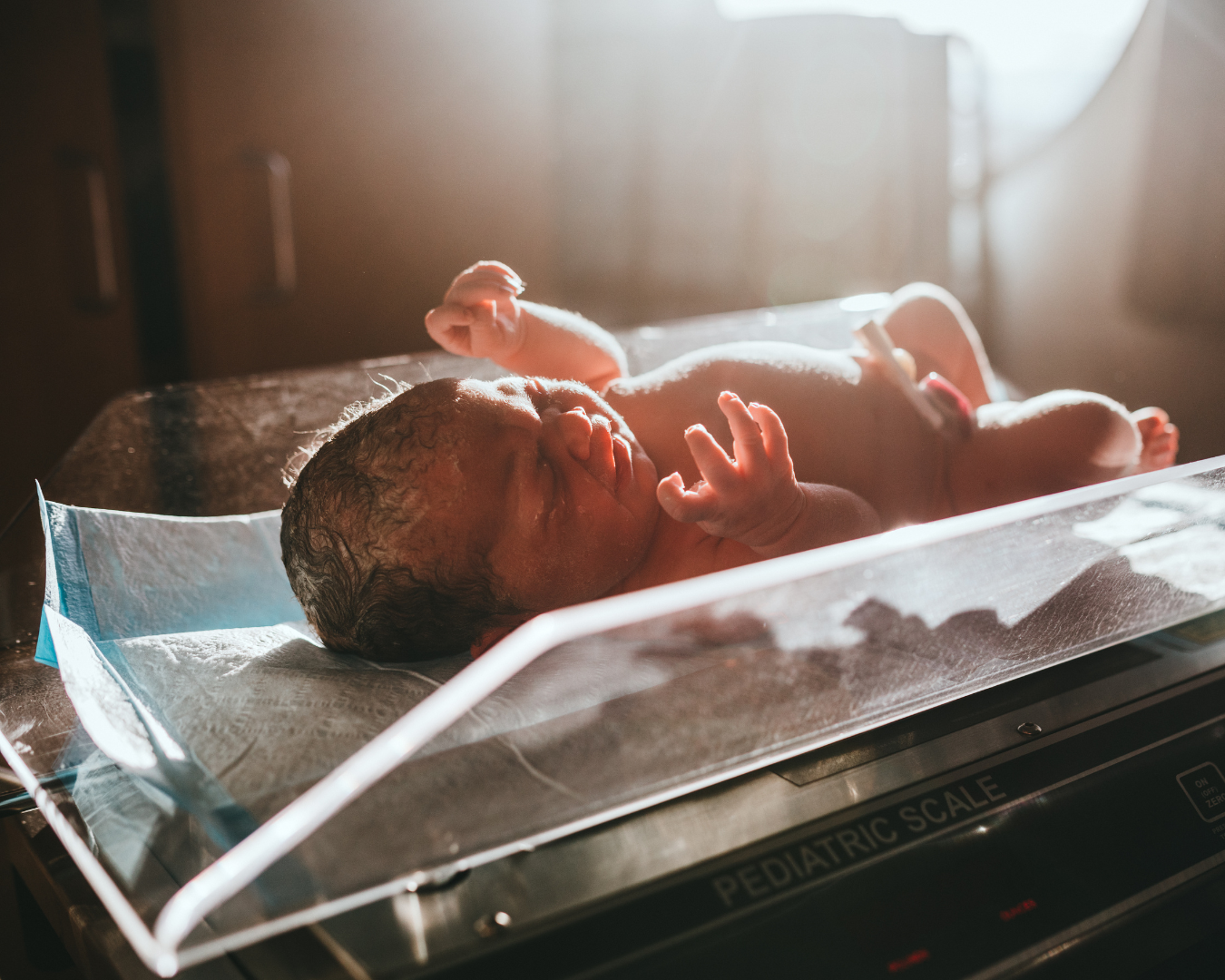 About — Ora Feeding