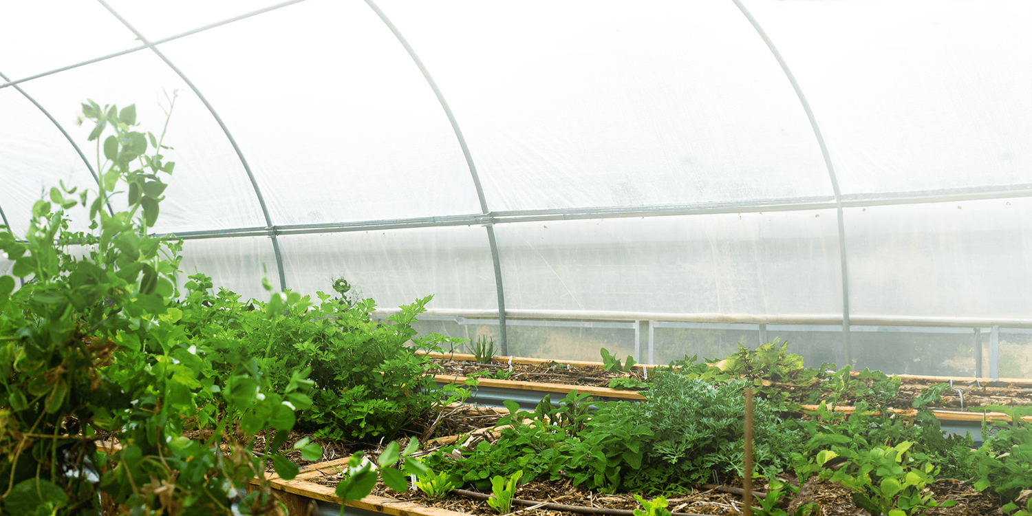 Mini GROW Tunnel — GROWTunnels