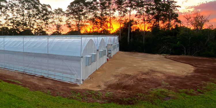 Commercial GROW Tunnel — GROWTunnels