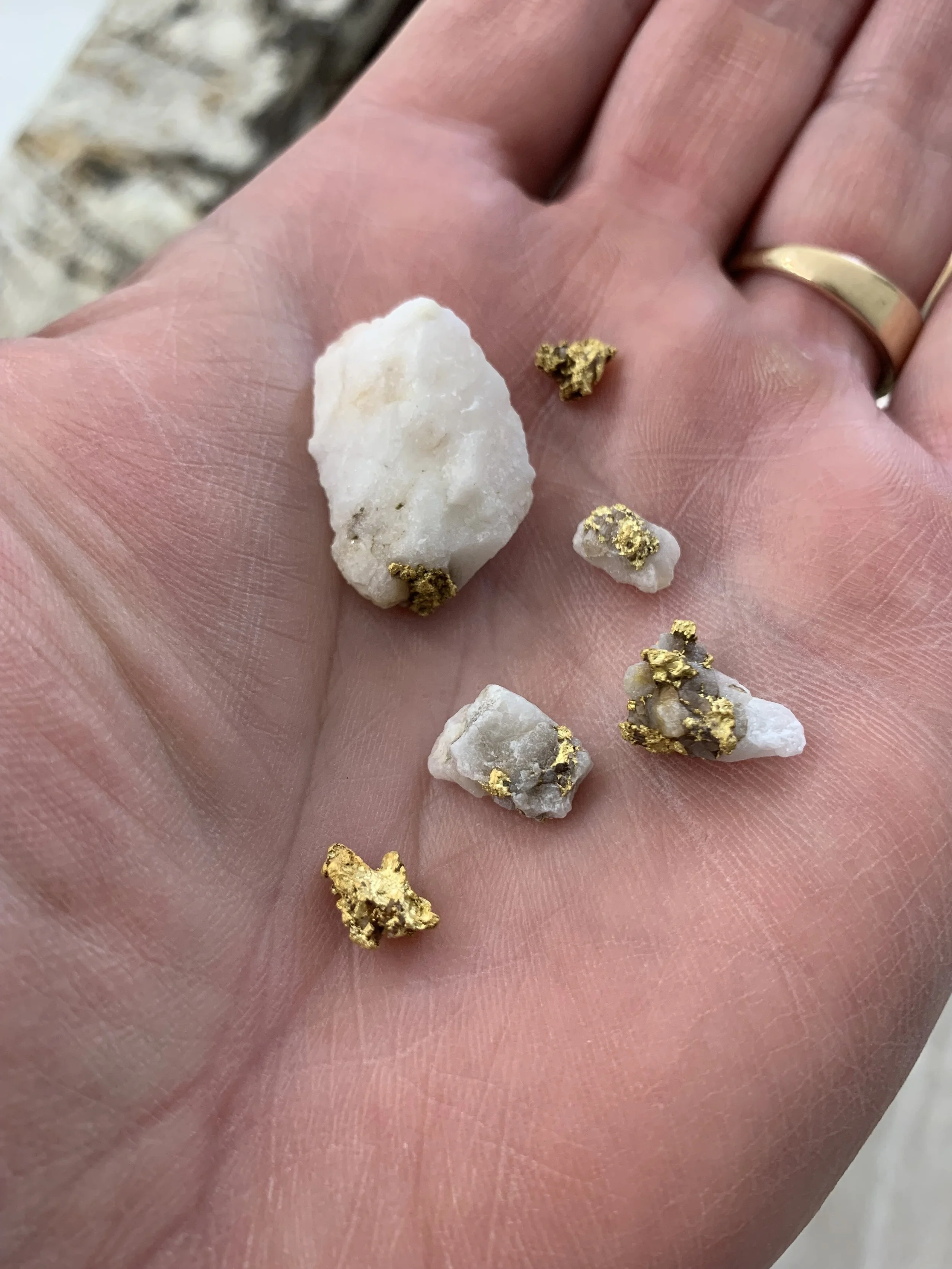 Events — Nevada Desert Diggers