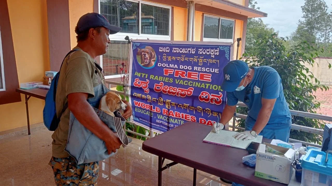 Services — Dolma Dog Rescue