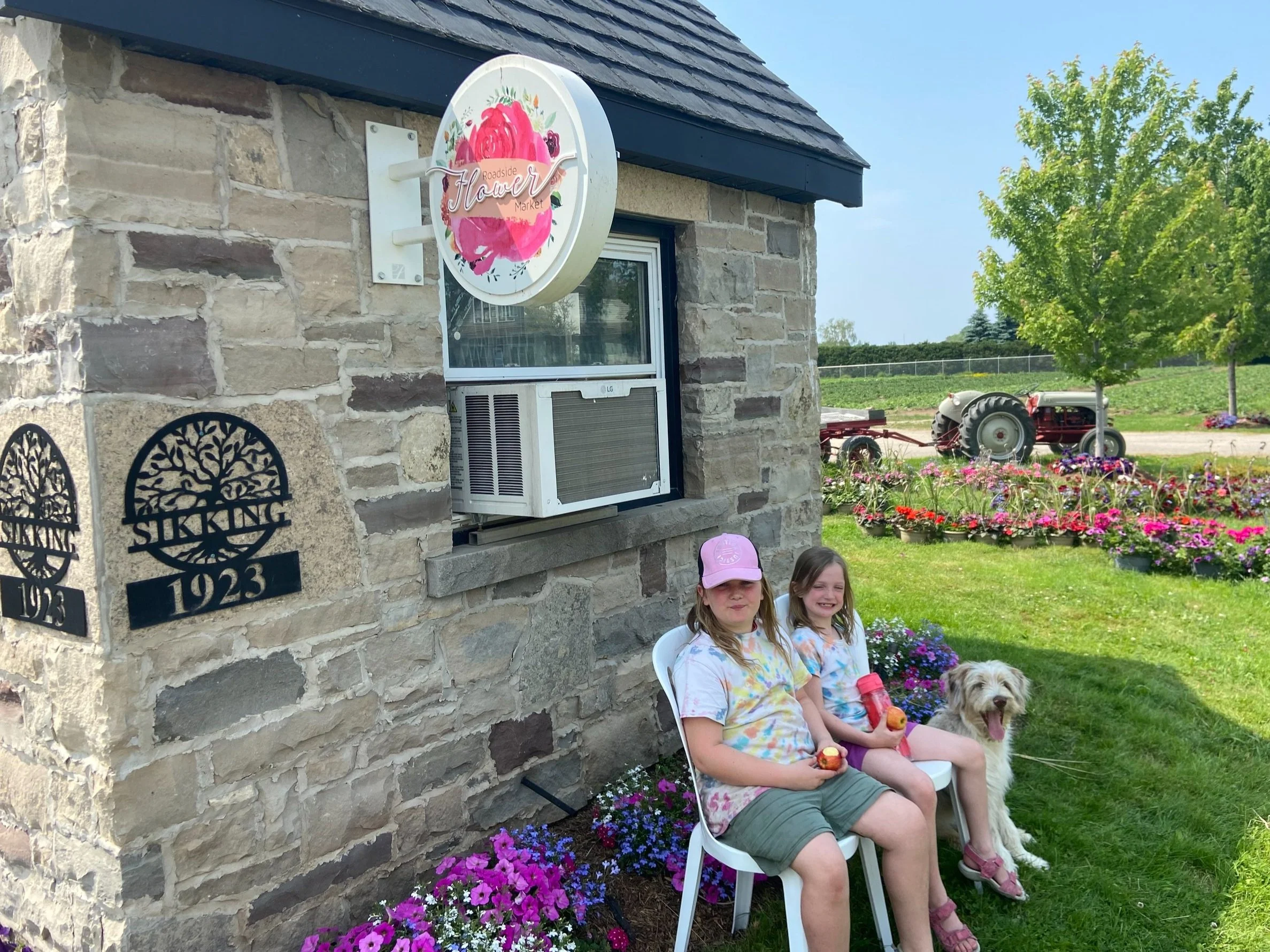 Roadside Flower Market Pick Your Own Tulips Niagara Farm