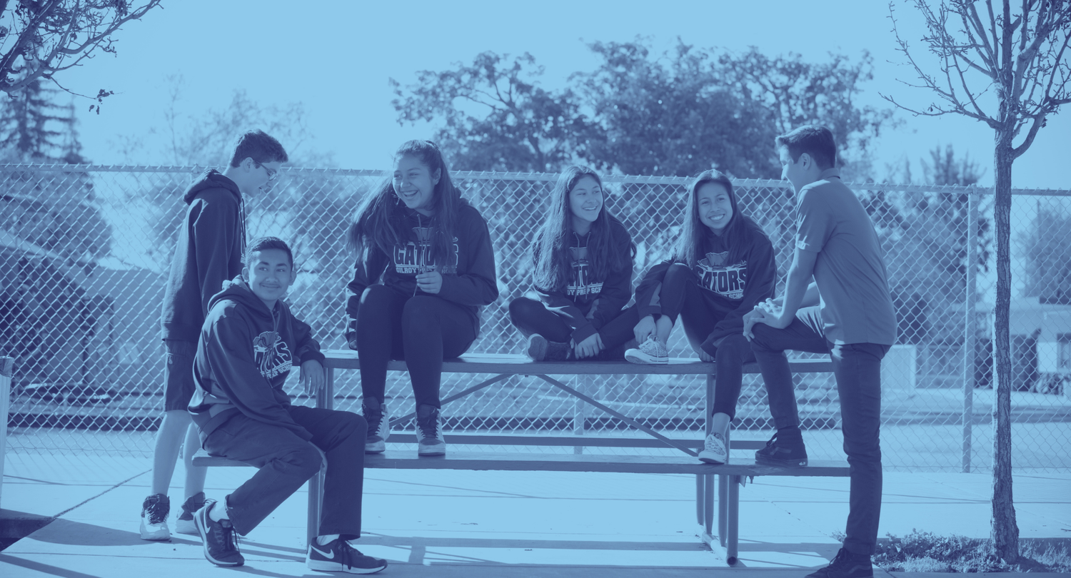 News Navigator Schools
