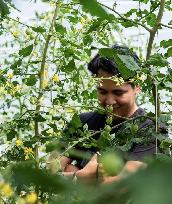 The Team — Atelier Manna