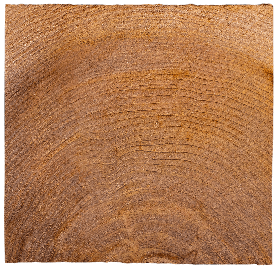 Japanese Cedar — FORJ Premium Cedar