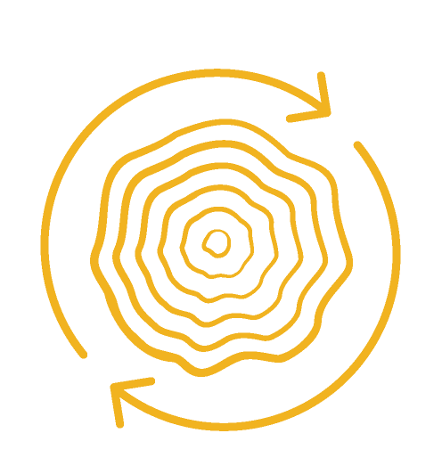 Japanese Cedar — FORJ Premium Cedar