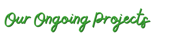 Our Projects — Empower Women for Change