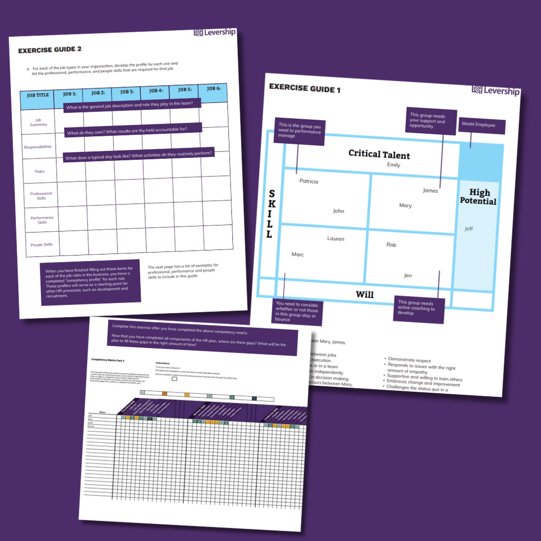 Free Strategic HR Worksheet — Levership