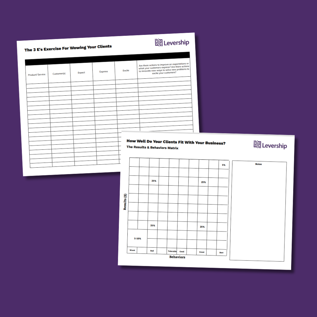 Customer Results Behaviour Matrix — Levership
