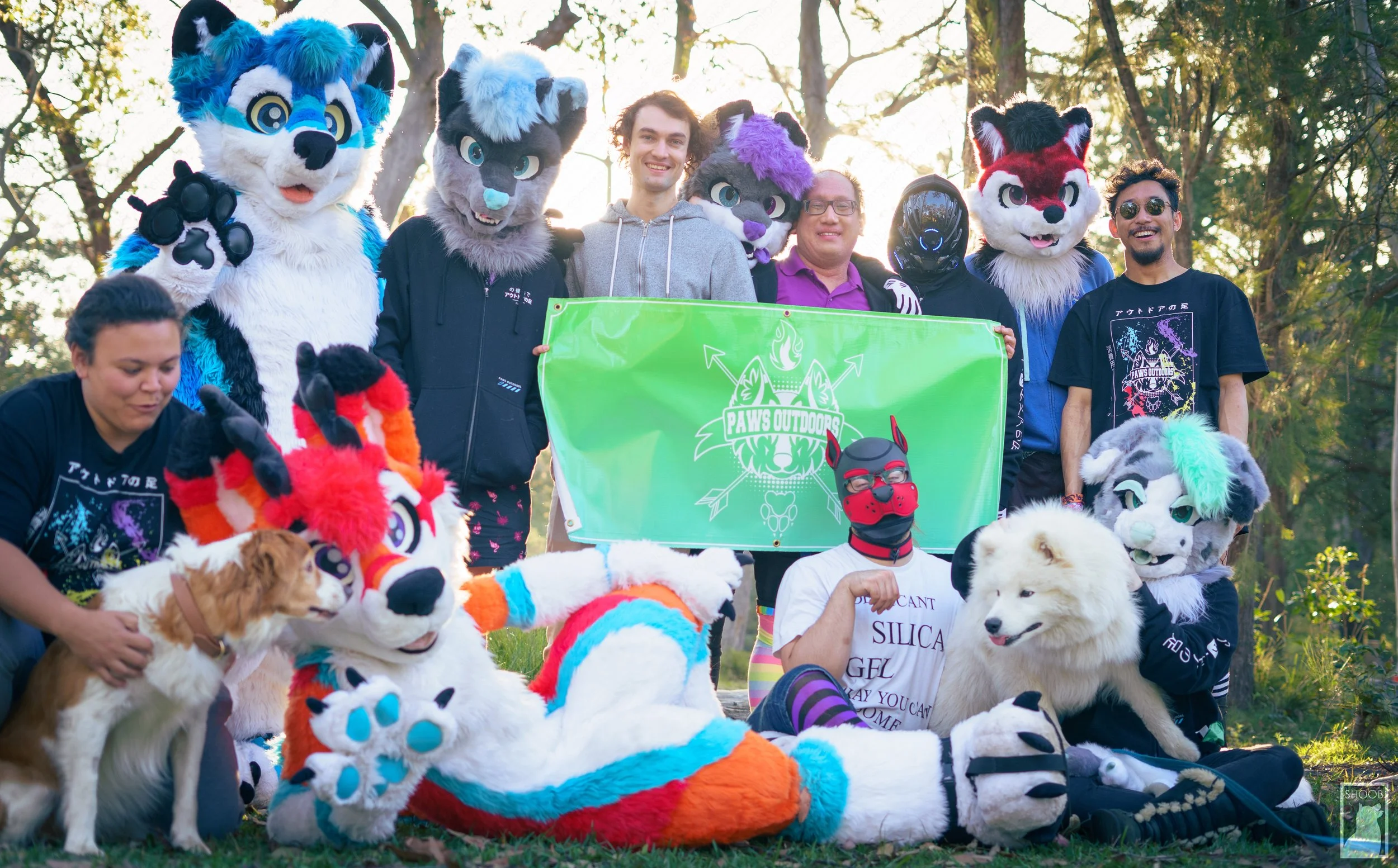 Paws Outdoors
