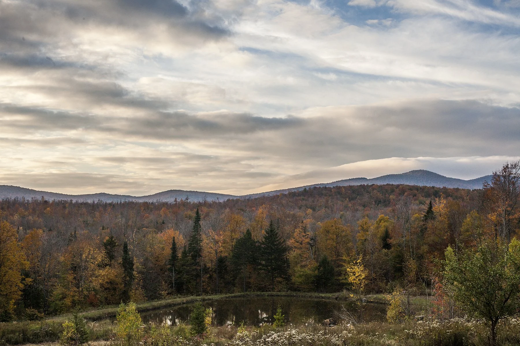 VERMONT — Rebel Grown