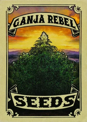 Seeds — Rebel Grown