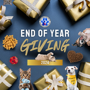 End of Year Giving 2024 — Needy Paws Animal Shelter | River Valley ...