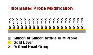 Chemically Functionalized AFM Probes - AFM Bead Probes - Coated AFM ...