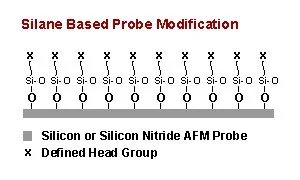 Chemically Functionalized AFM Probes - AFM Bead Probes - Coated AFM ...