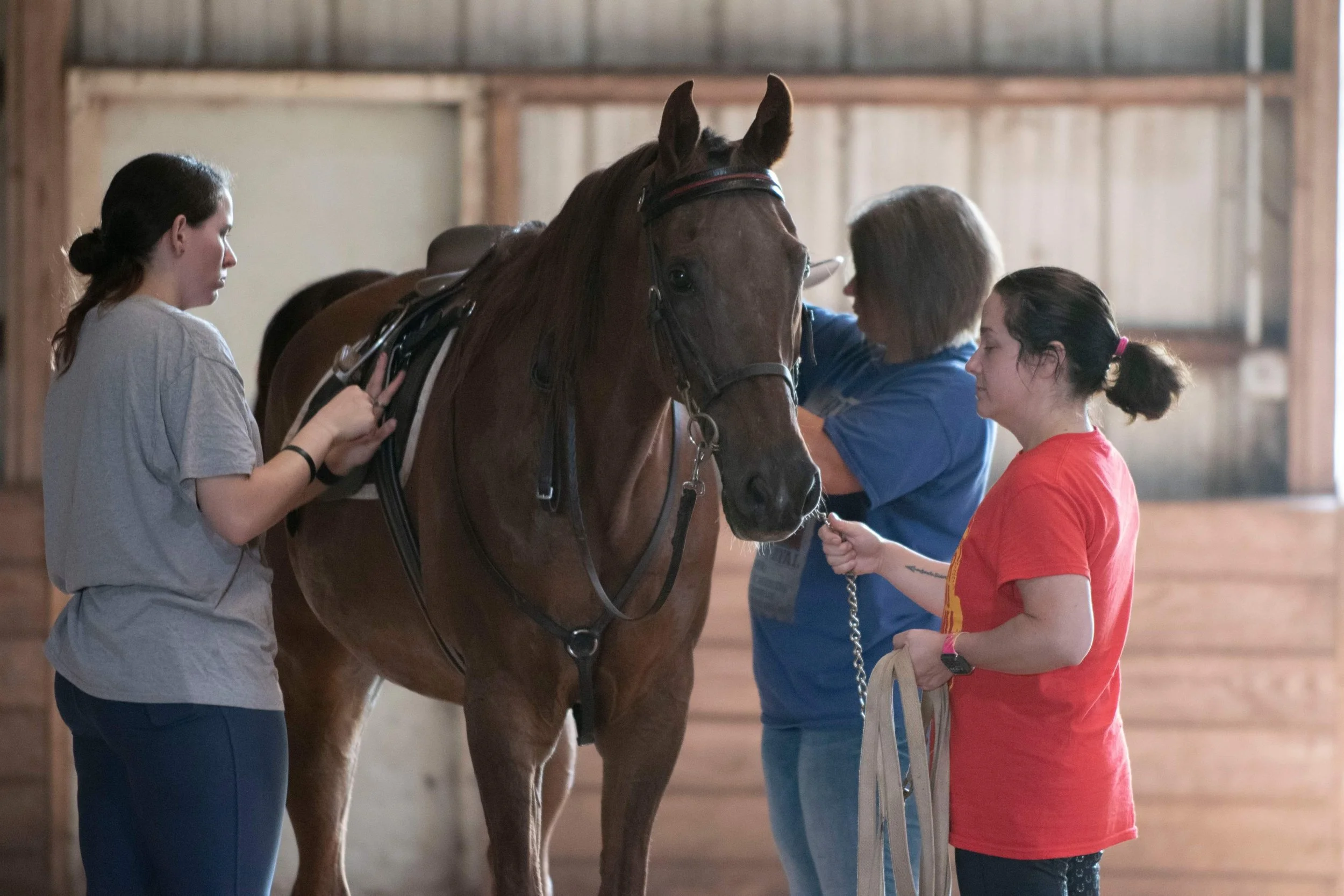 Riding lessons— Silver Star Stables
