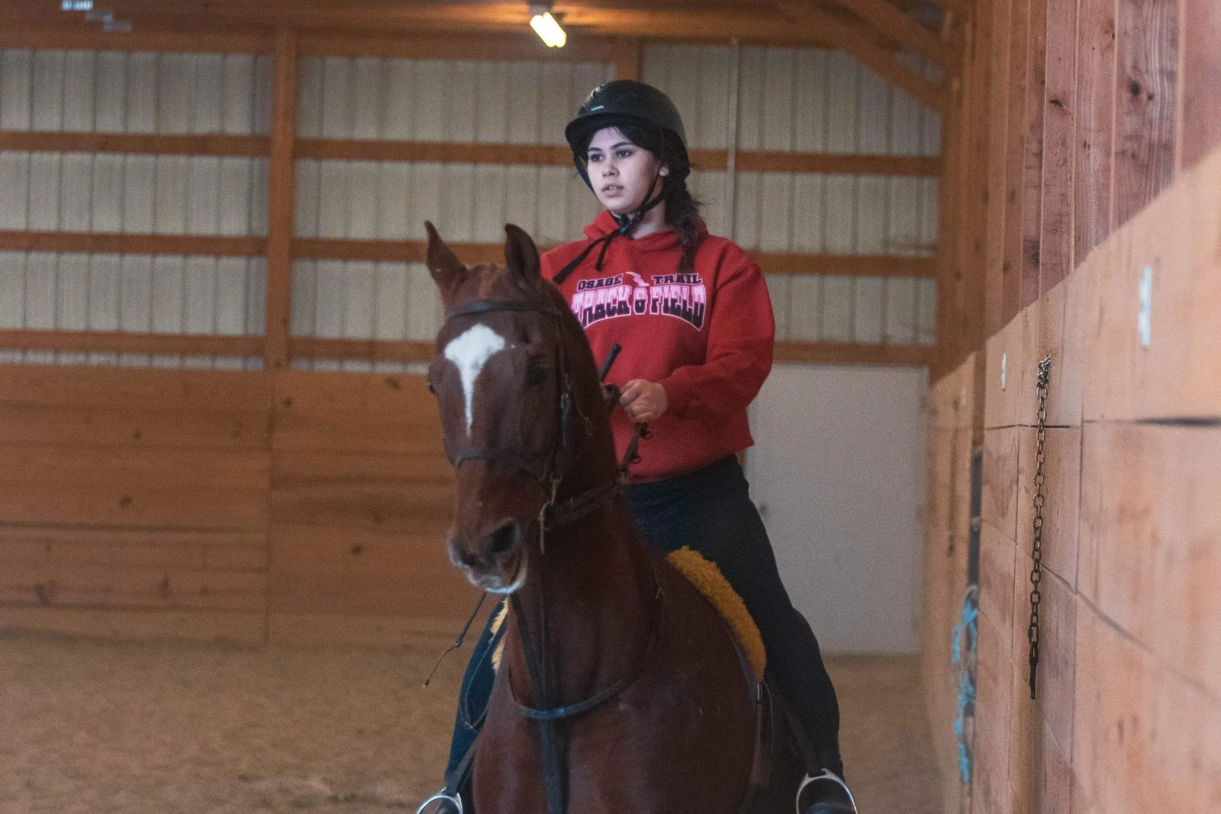 Meet Our Horses— Silver Star Stables