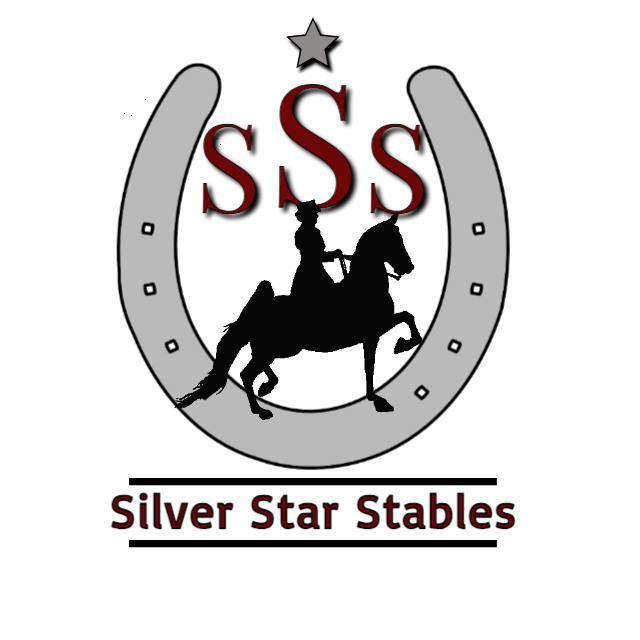 Horse Camps— Silver Star Stables