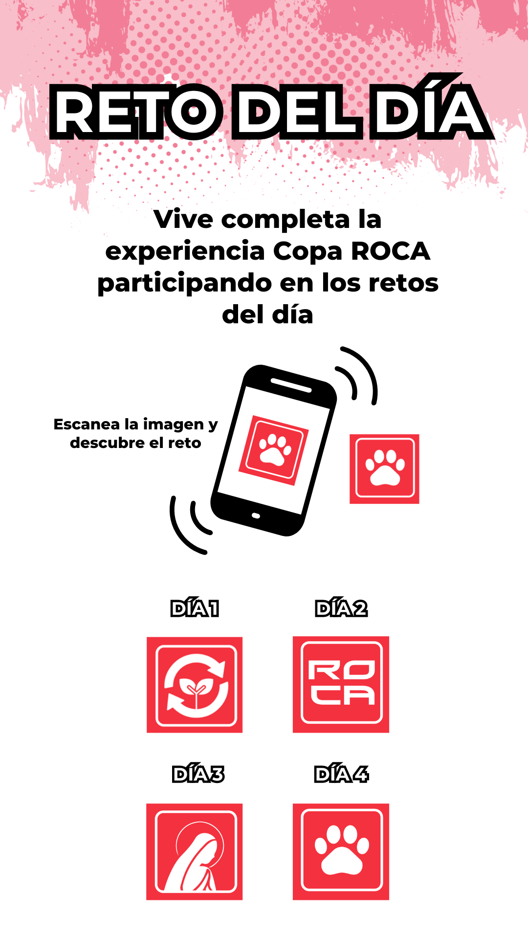 Reto del Día — Copa Roca 2024