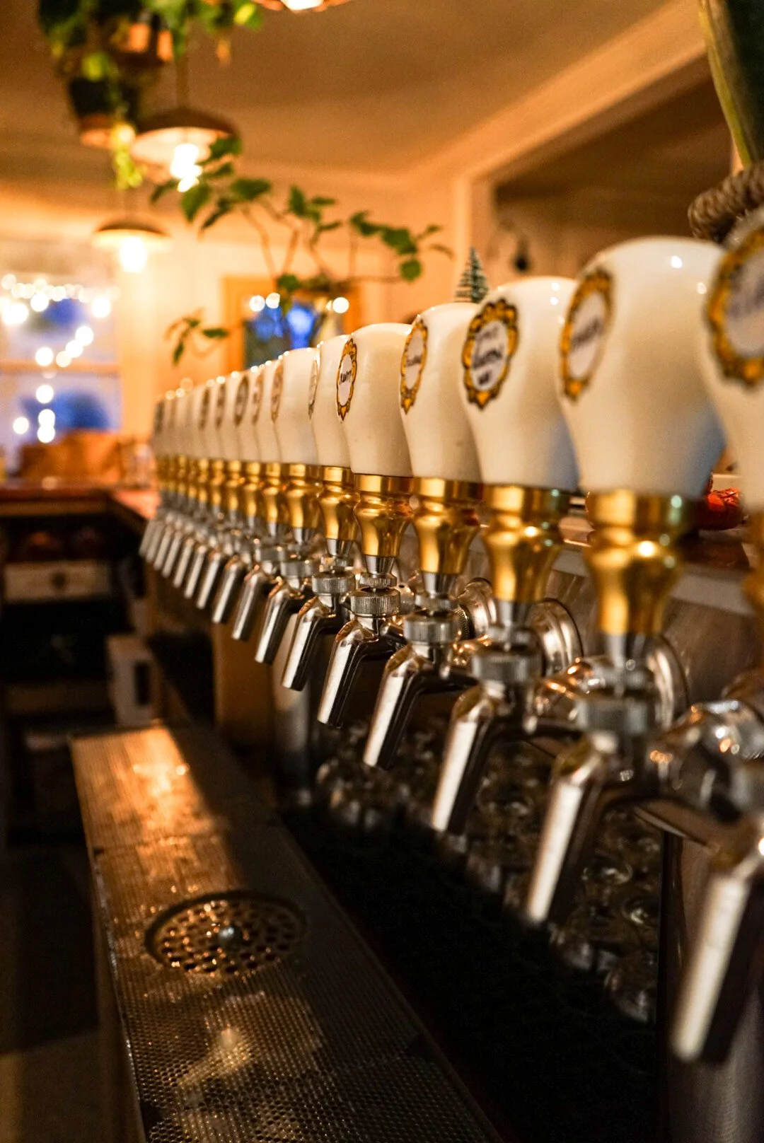 Our Story | Discover Unique Craft Beers — Little Beast Brewing