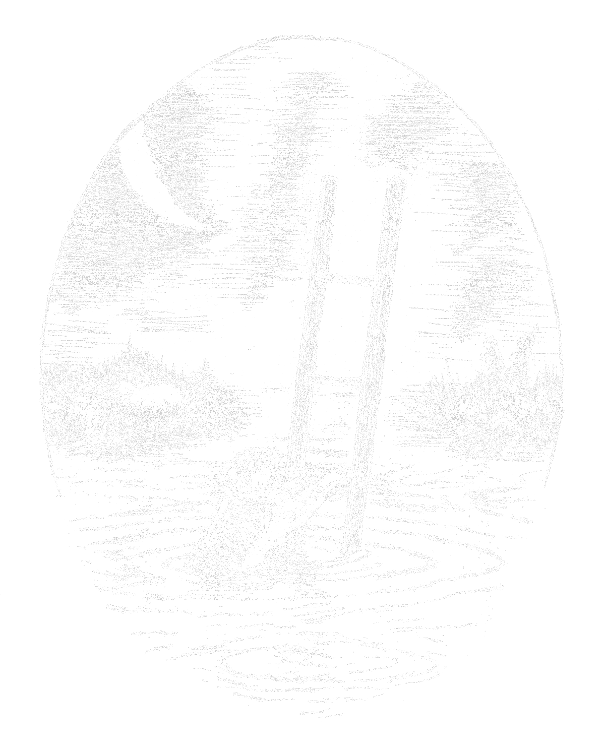 Biography — Nicolas Bruno