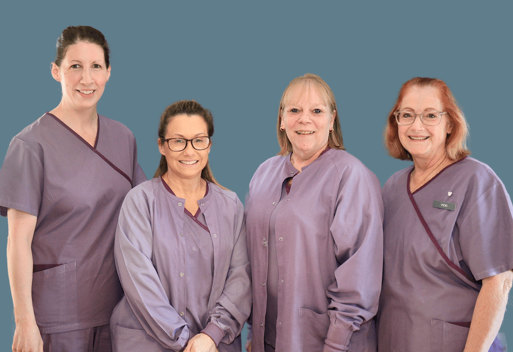 About — Albany Endodontics