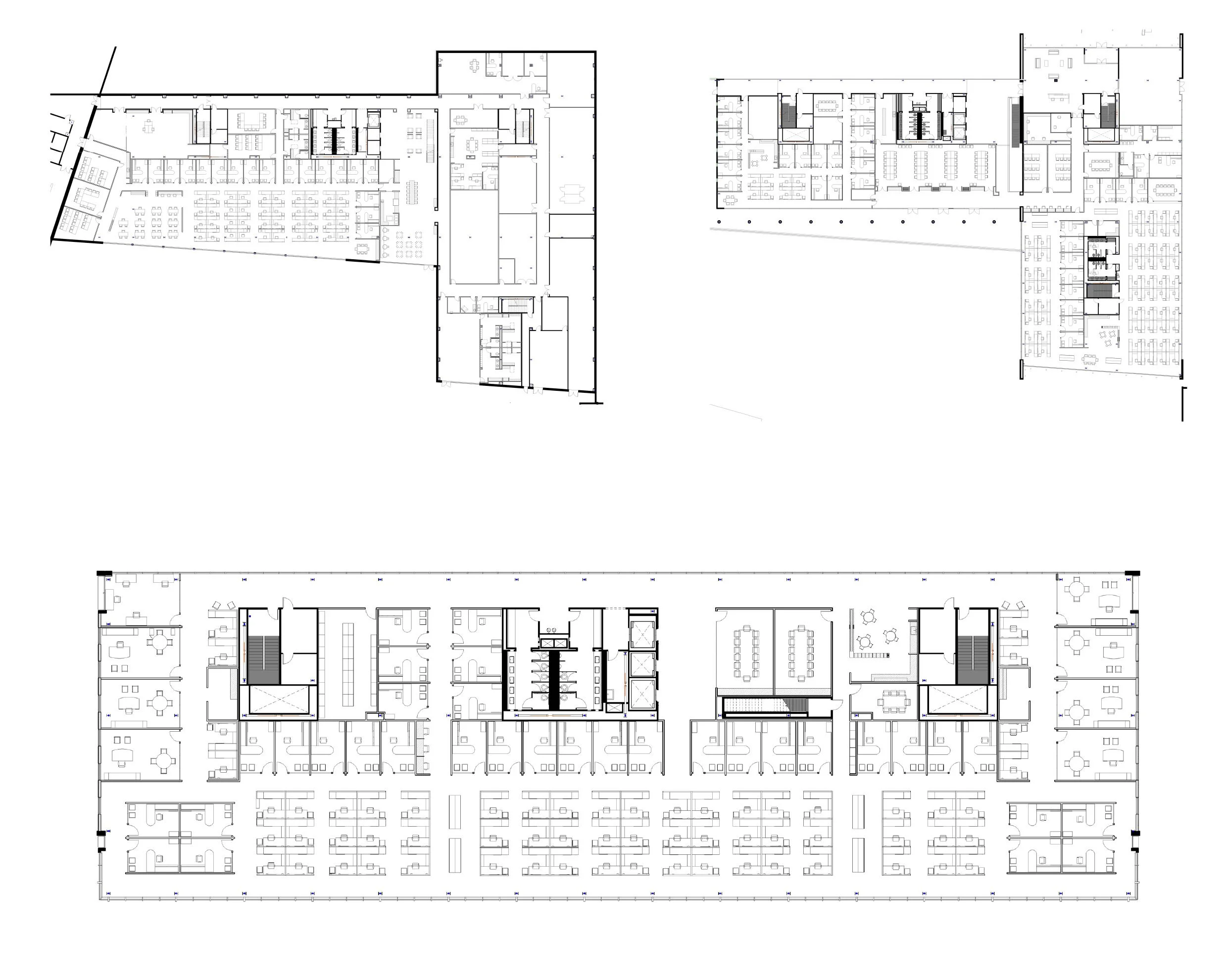 Washington Gas — Emily Rickman
